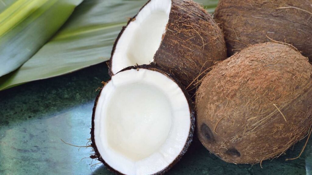 8 Gut Healing Foods That You Should Be Eating – My Vita Net