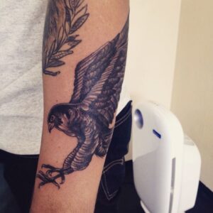 22 Amazing Falcon Tattoo Designs and Meaning – My Vita Net