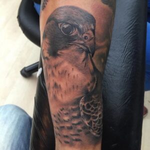 22 Amazing Falcon Tattoo Designs and Meaning – My Vita Net