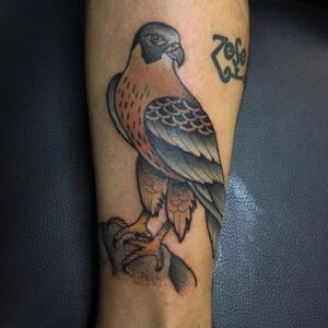 22 Amazing Falcon Tattoo Designs and Meaning – My Vita Net